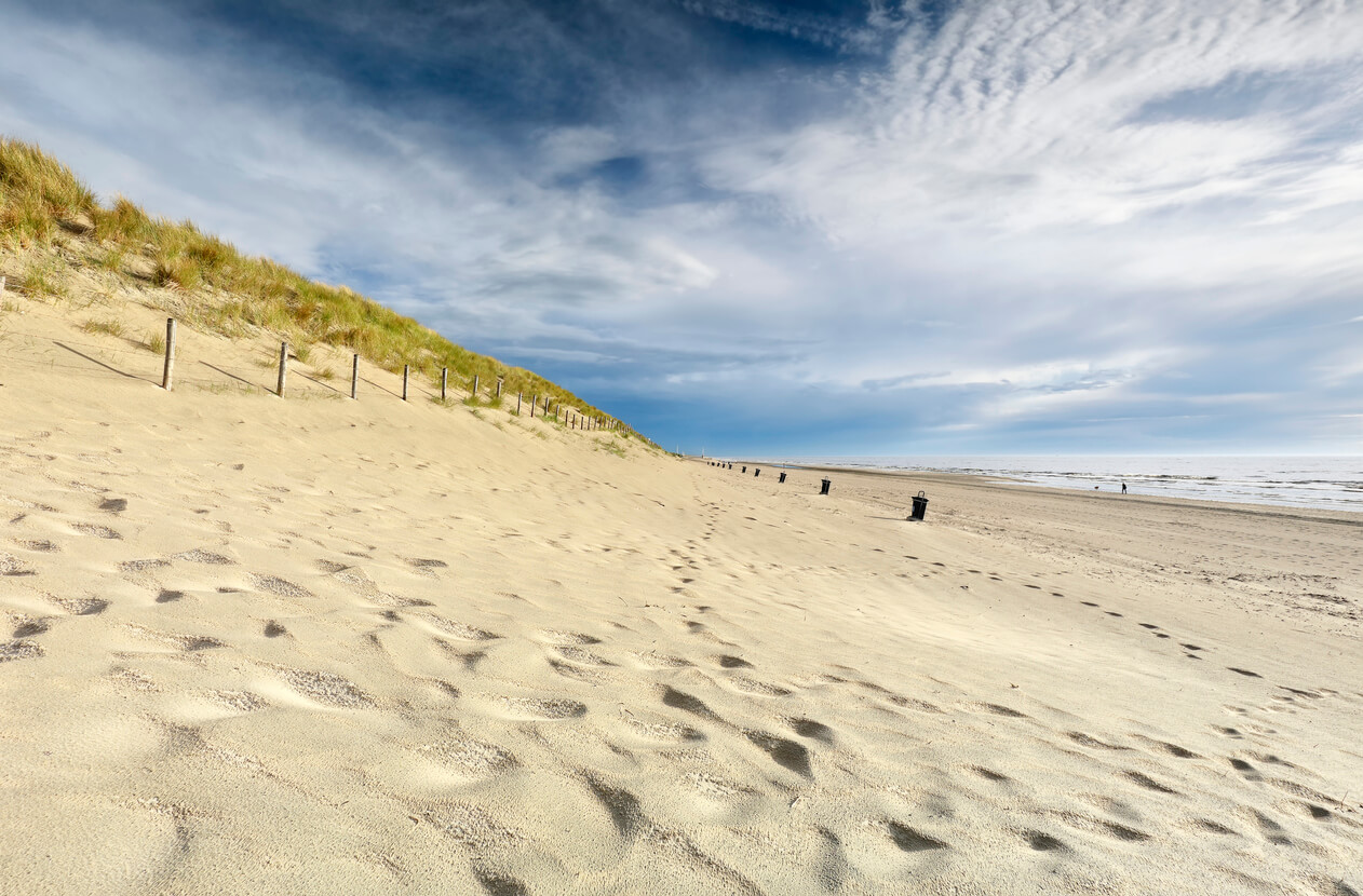 NFN komt op voor naaktstrand Zandvoort – bloot moet welkom blijven ...